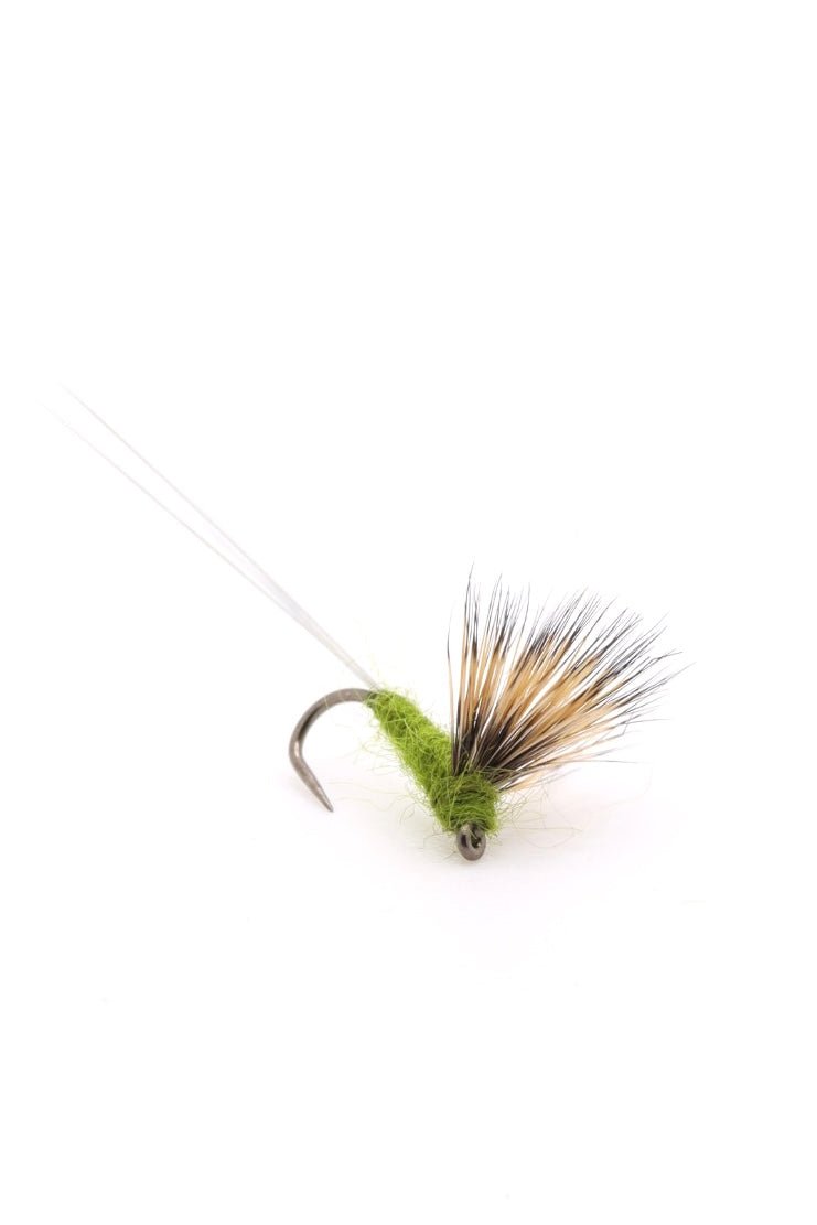 Comparadun – Caddis Outdoors